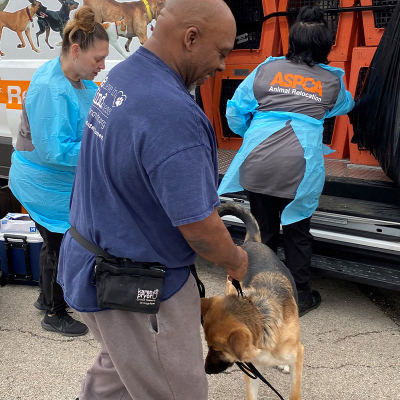 The Couple Who Welcomes Our Adoptable Dogs - Anderson Humane