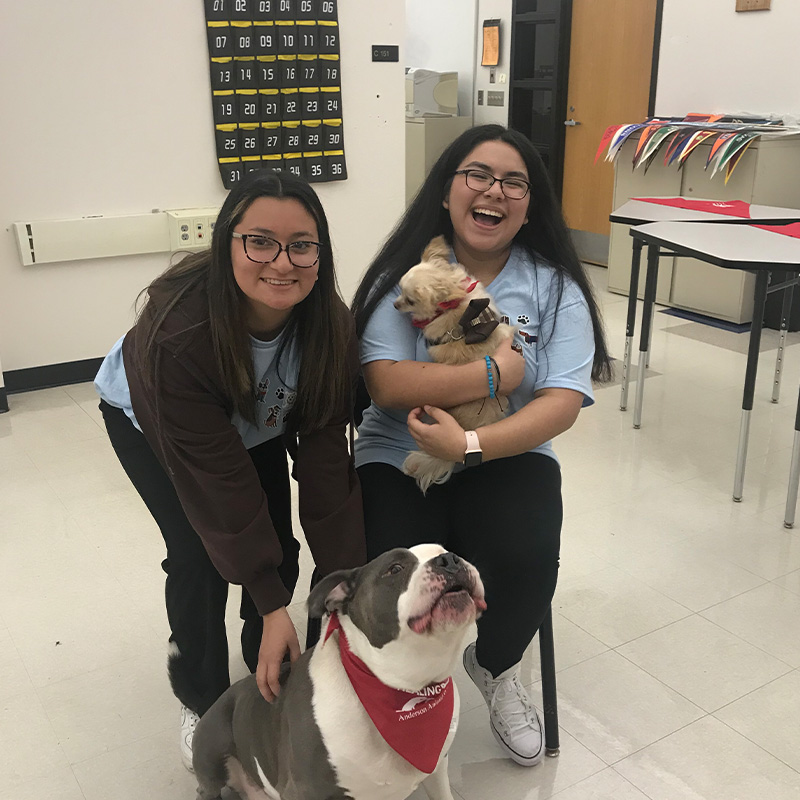 Streamwood High School Students Learn the Healing Power of Animals ...