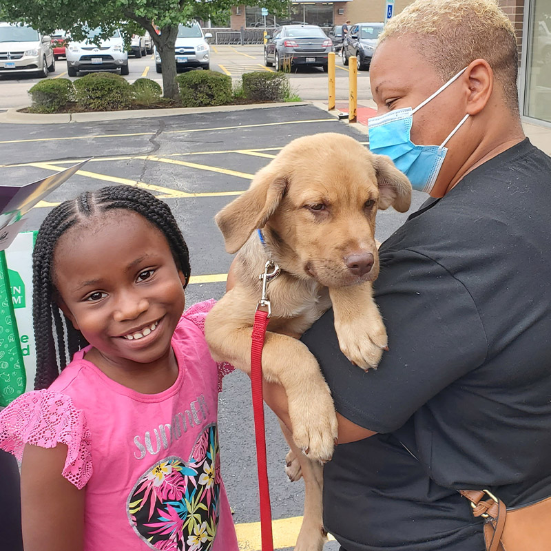 58 Pet Adoptions to Celebrate 5 Years of Partnership - Anderson Humane