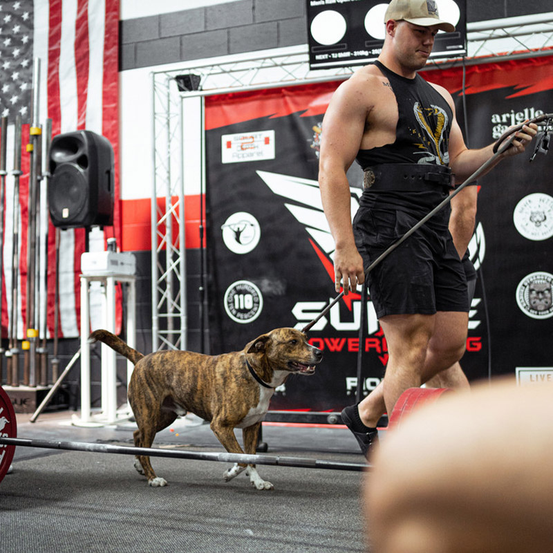 The Power-Lifting Community with a Heart for Pets - Anderson Humane