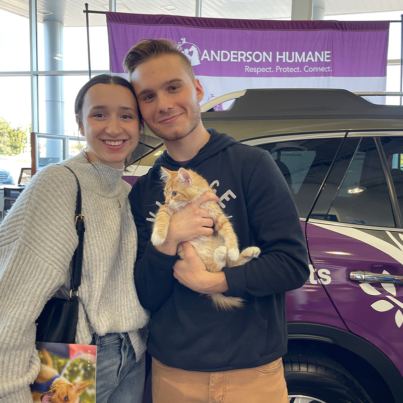 76 Animals Found Their Road Home - Anderson Humane