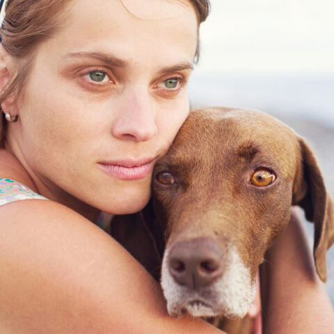 STAR - Anderson Humane