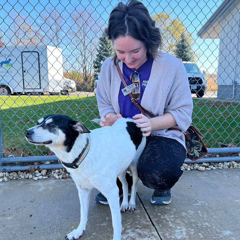 Our Story - Anderson Humane