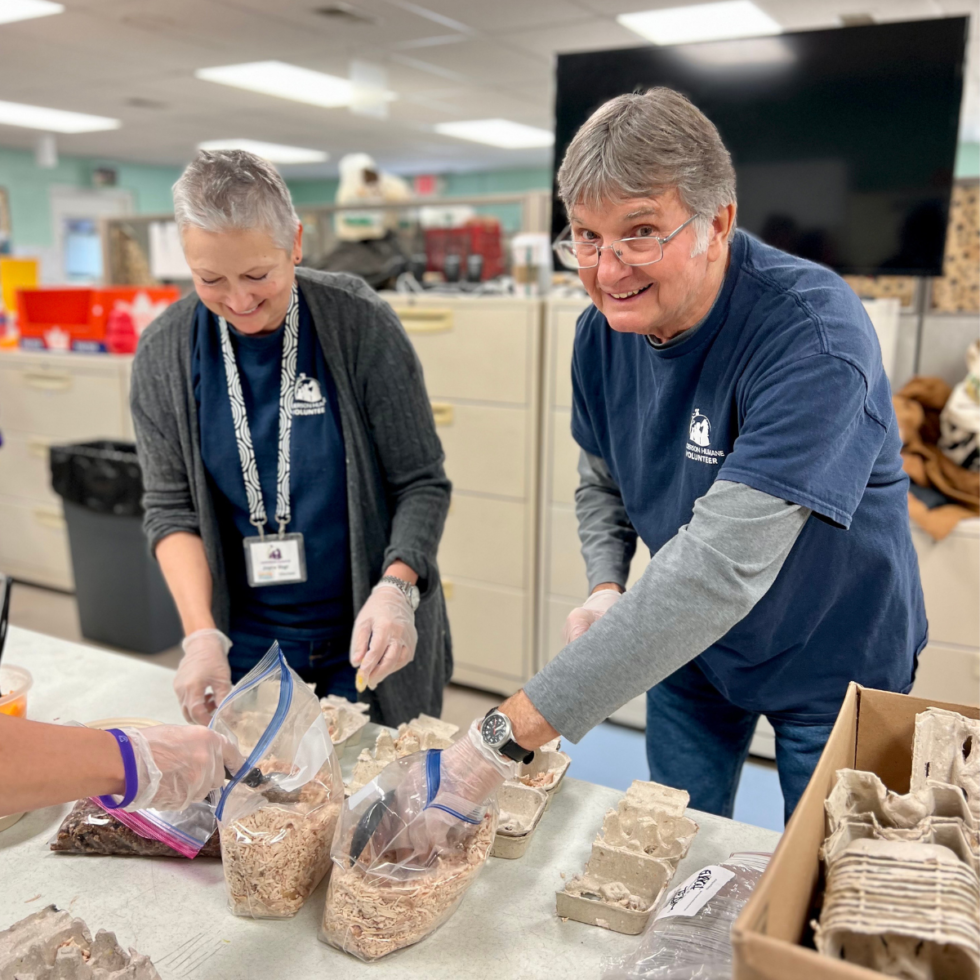 Volunteer Page - Anderson Humane