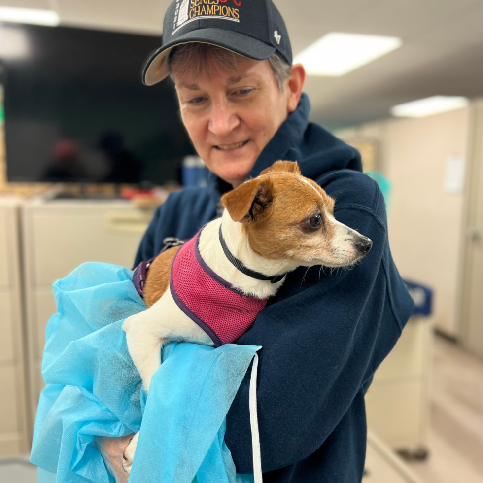 Volunteer Page - Anderson Humane