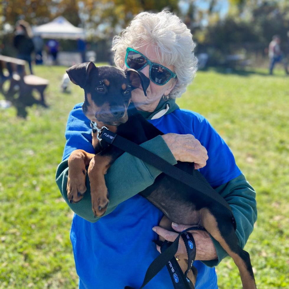 Volunteer Page - Anderson Humane