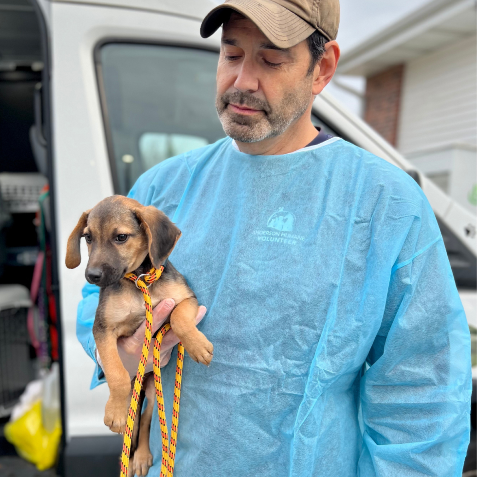 Volunteer Page - Anderson Humane