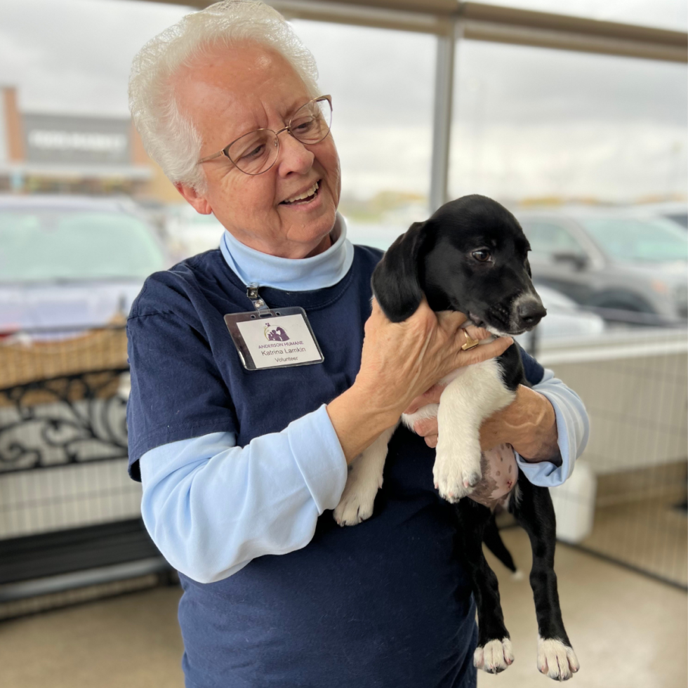 Volunteer Page - Anderson Humane