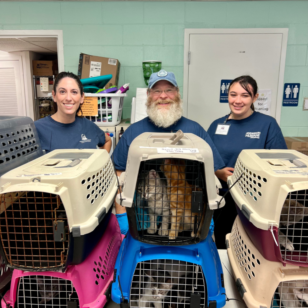 Volunteer Page - Anderson Humane