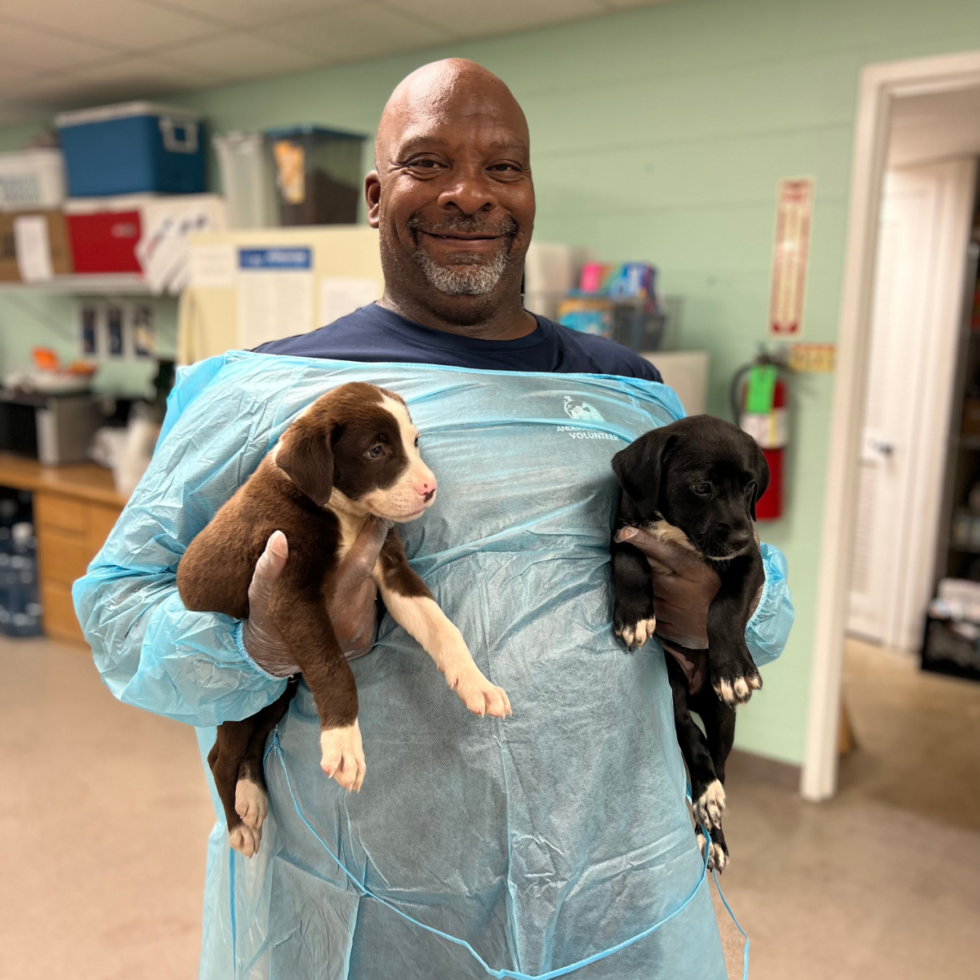 Volunteer Page - Anderson Humane