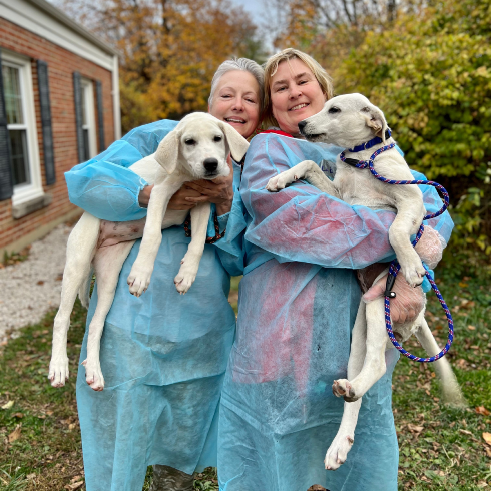 Volunteer Page - Anderson Humane