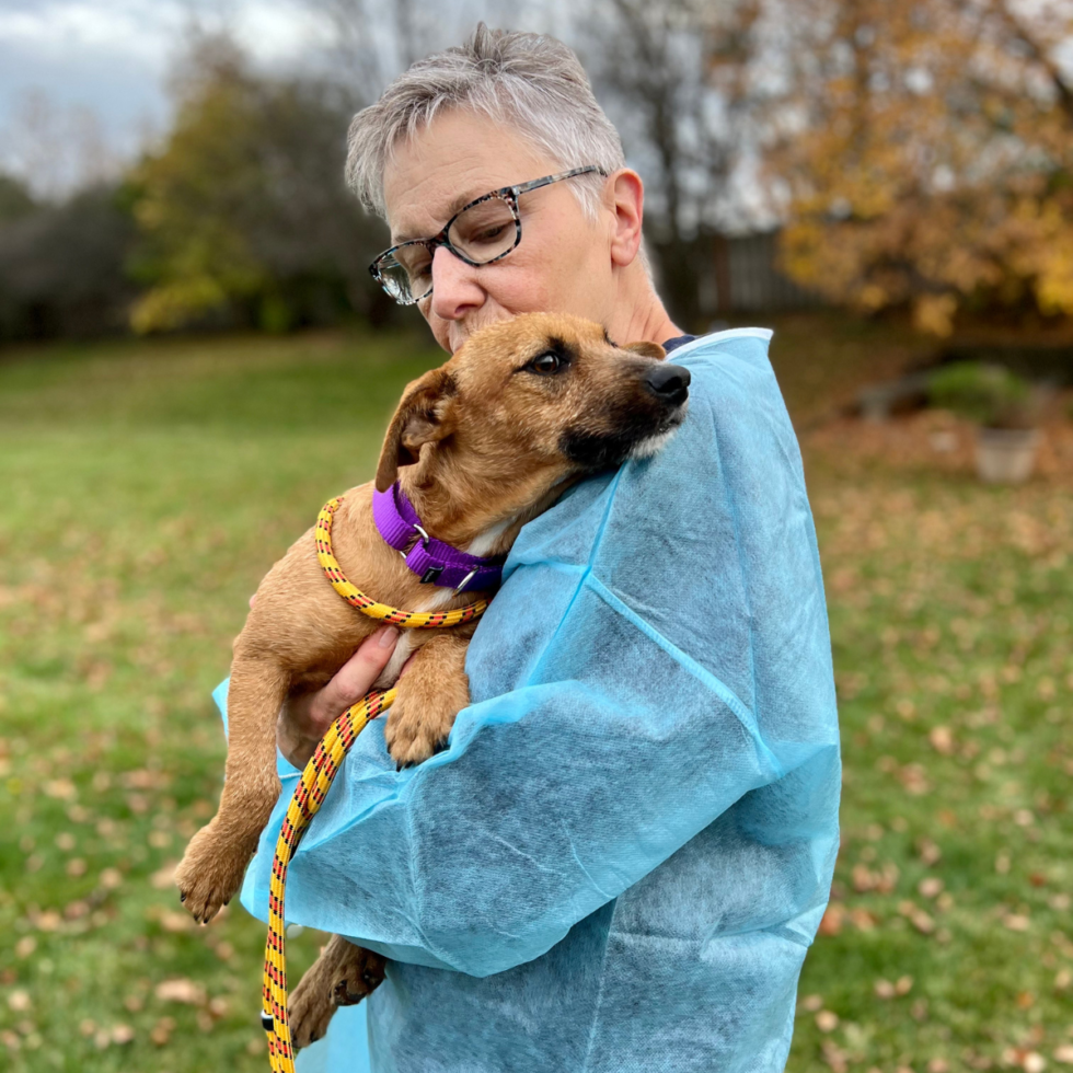 Volunteer Page - Anderson Humane