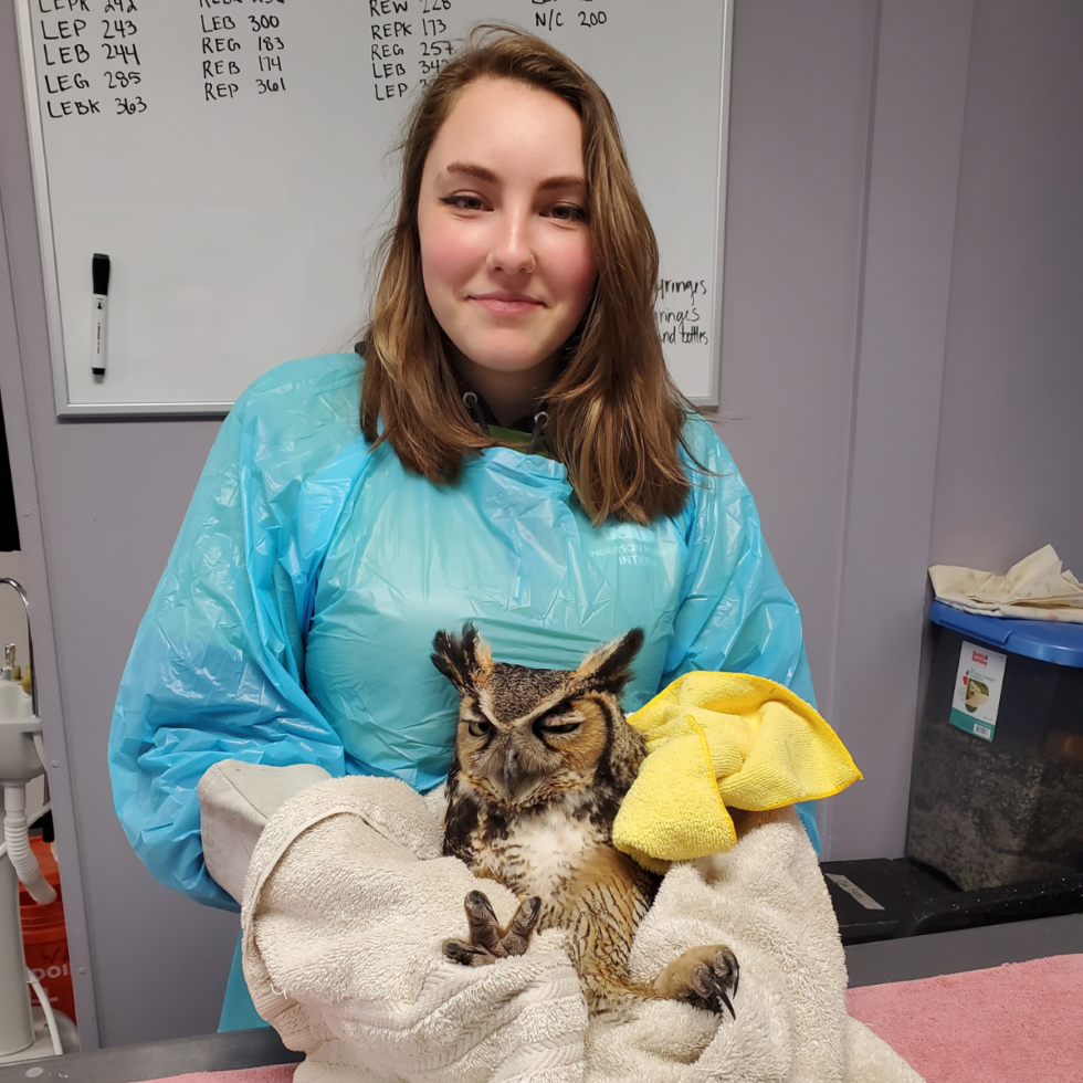 Volunteer Page - Anderson Humane