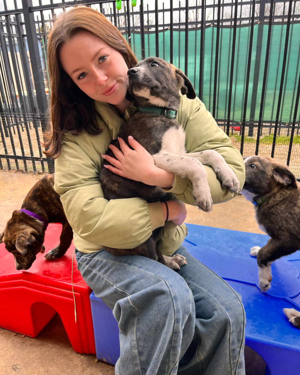 Volunteer Page - Anderson Humane