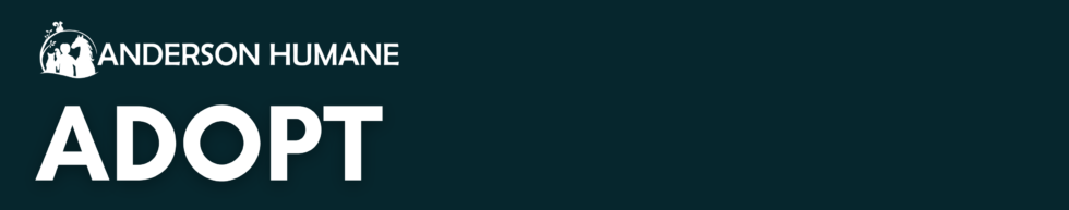 Anderson Humane Adoptables - Anderson Humane