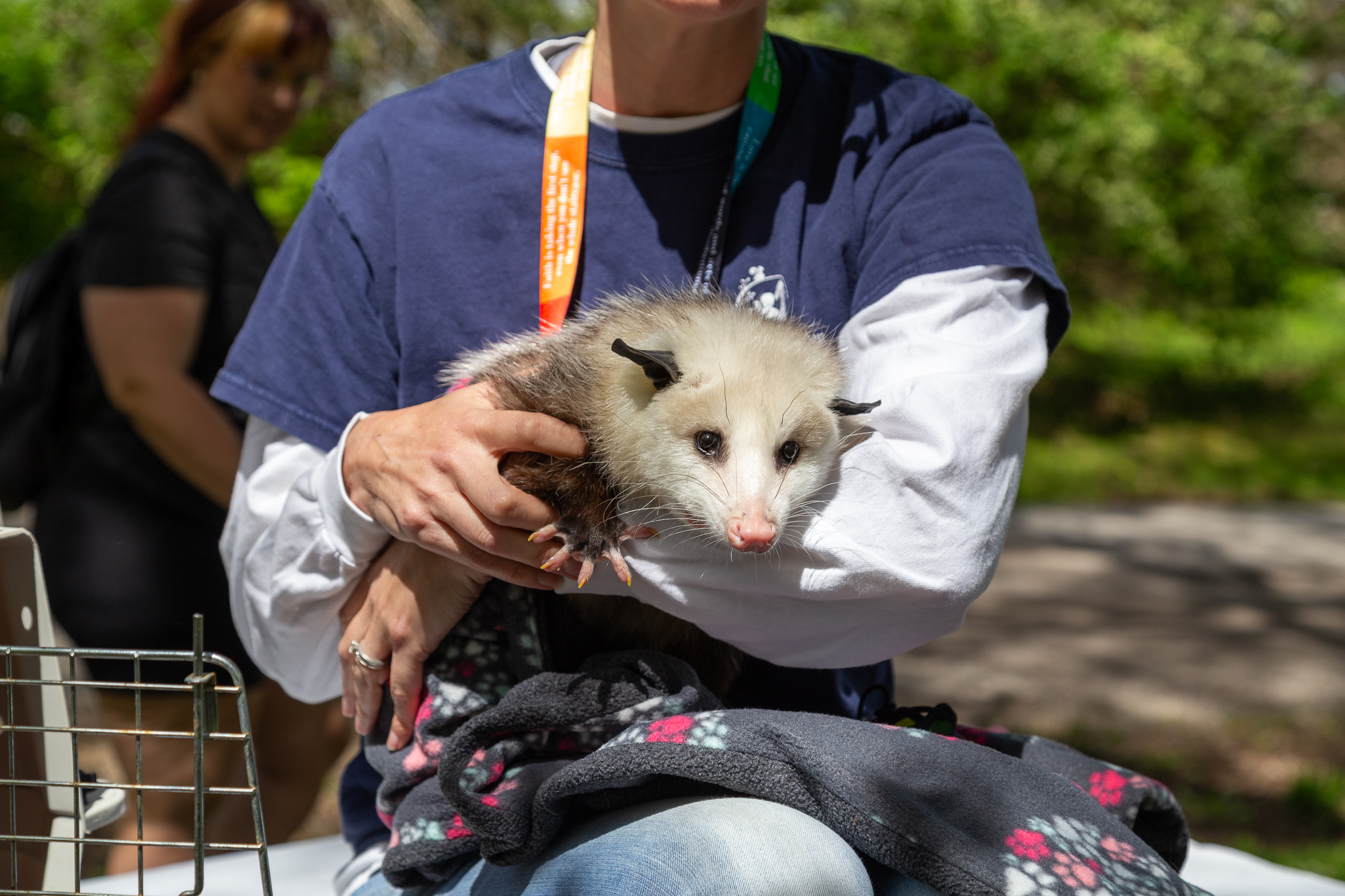 Home - Anderson Humane