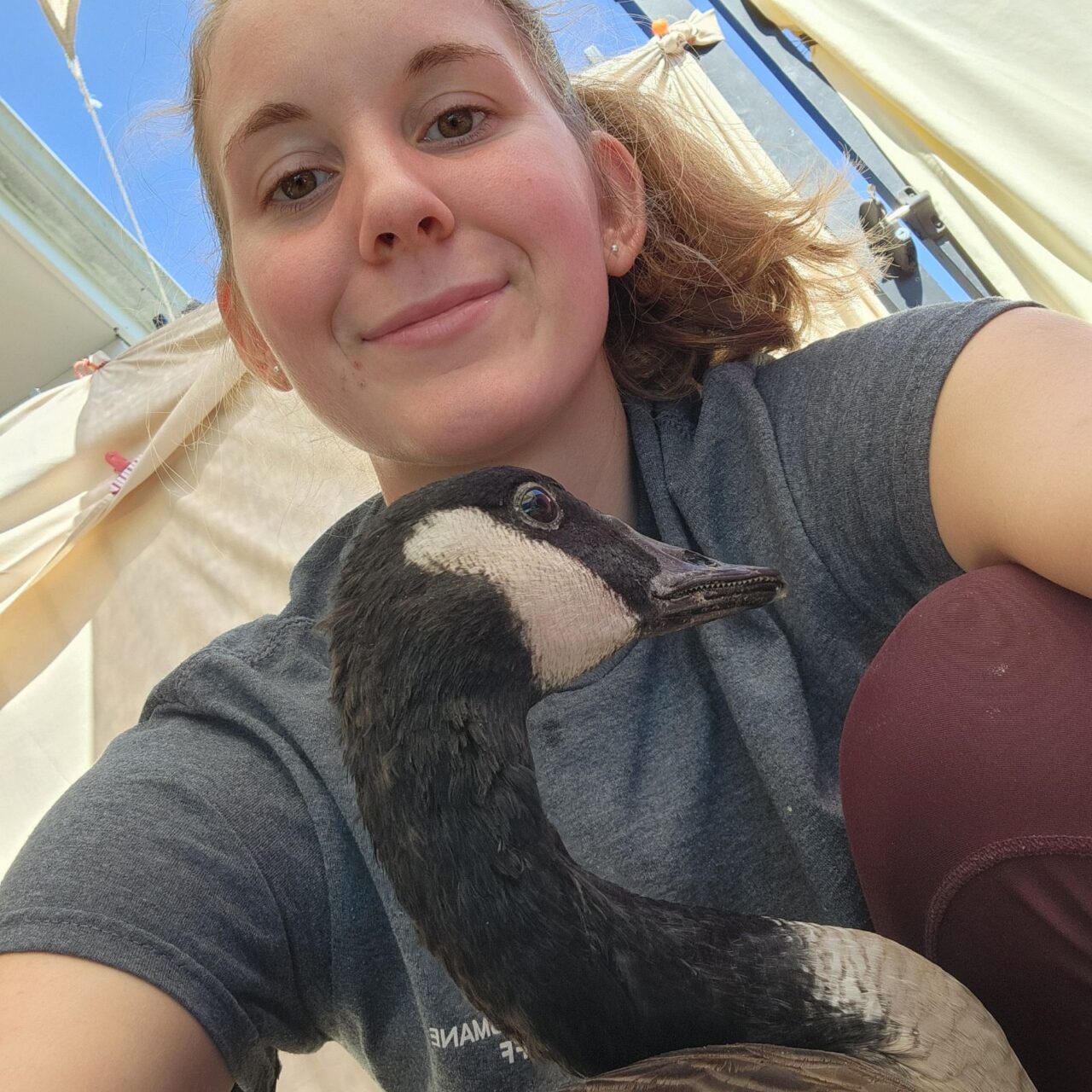 Wildlife Education - Anderson Humane