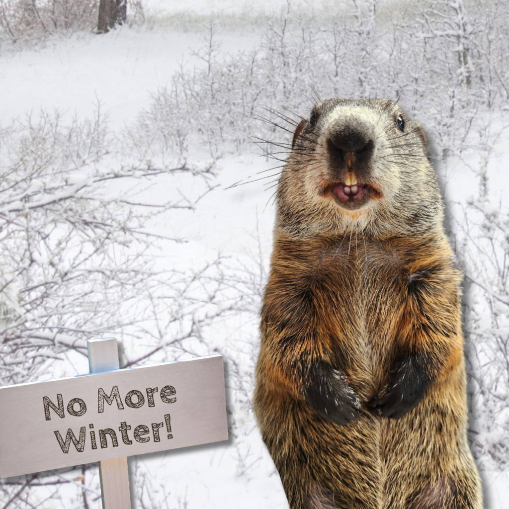 Groundhog Day Celebration! - SOLD OUT - Anderson Humane