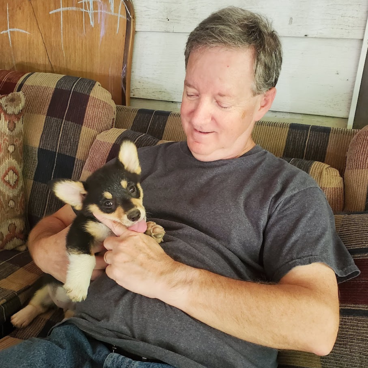 Comfort on Four Paws: How Healing Paws Changes Lives - Anderson Humane