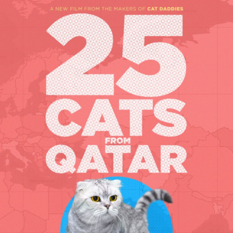 25 Cats from Qatar - Documentary Premiere & Adoption Event - Anderson ...